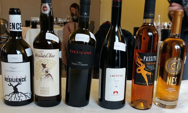 Venere Callipigia 2019, sei Gran medaglie d’oro